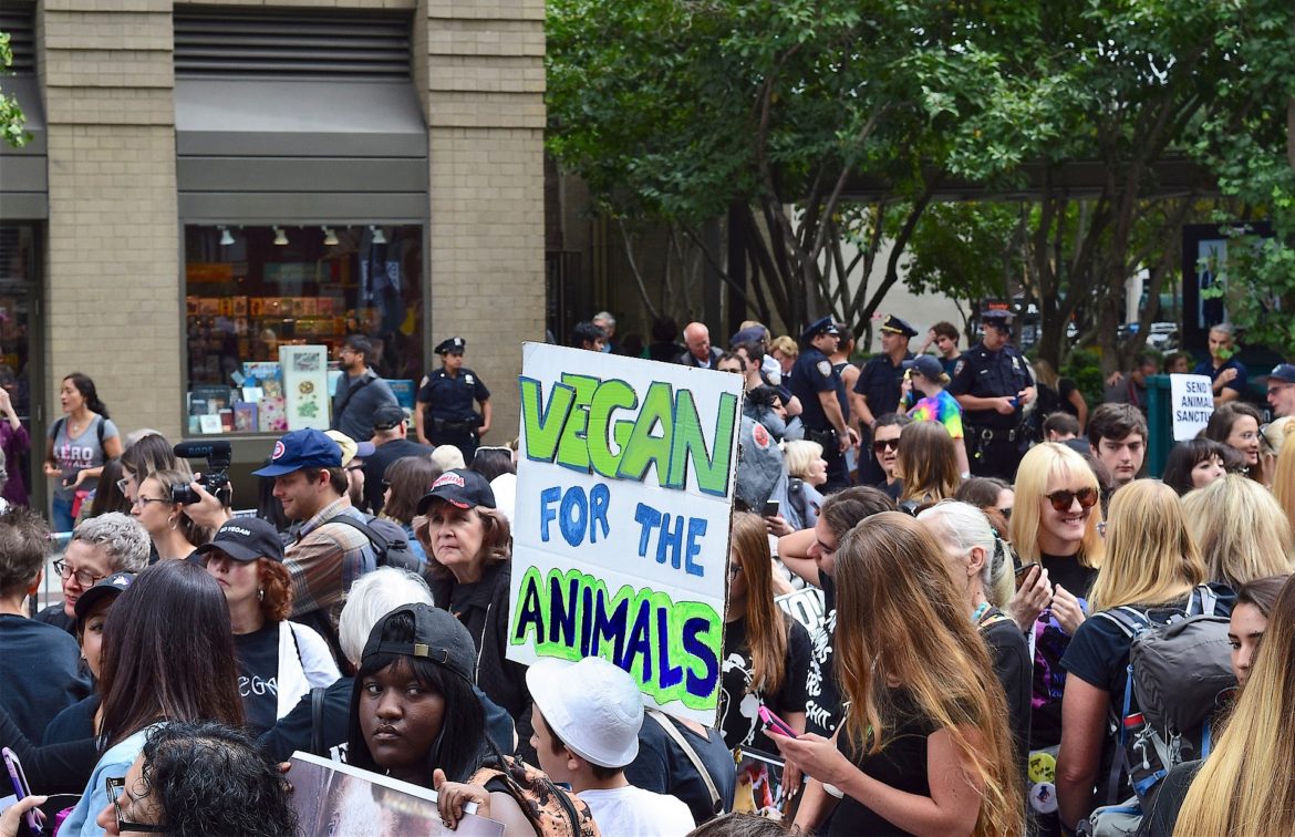 Vegan protesters - Sarx