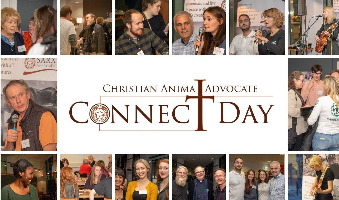 Connect Day Collage (2 - Sarx